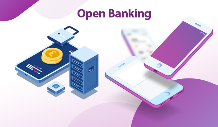 Open Banking - Custom Software Development - Blueberry Consultants